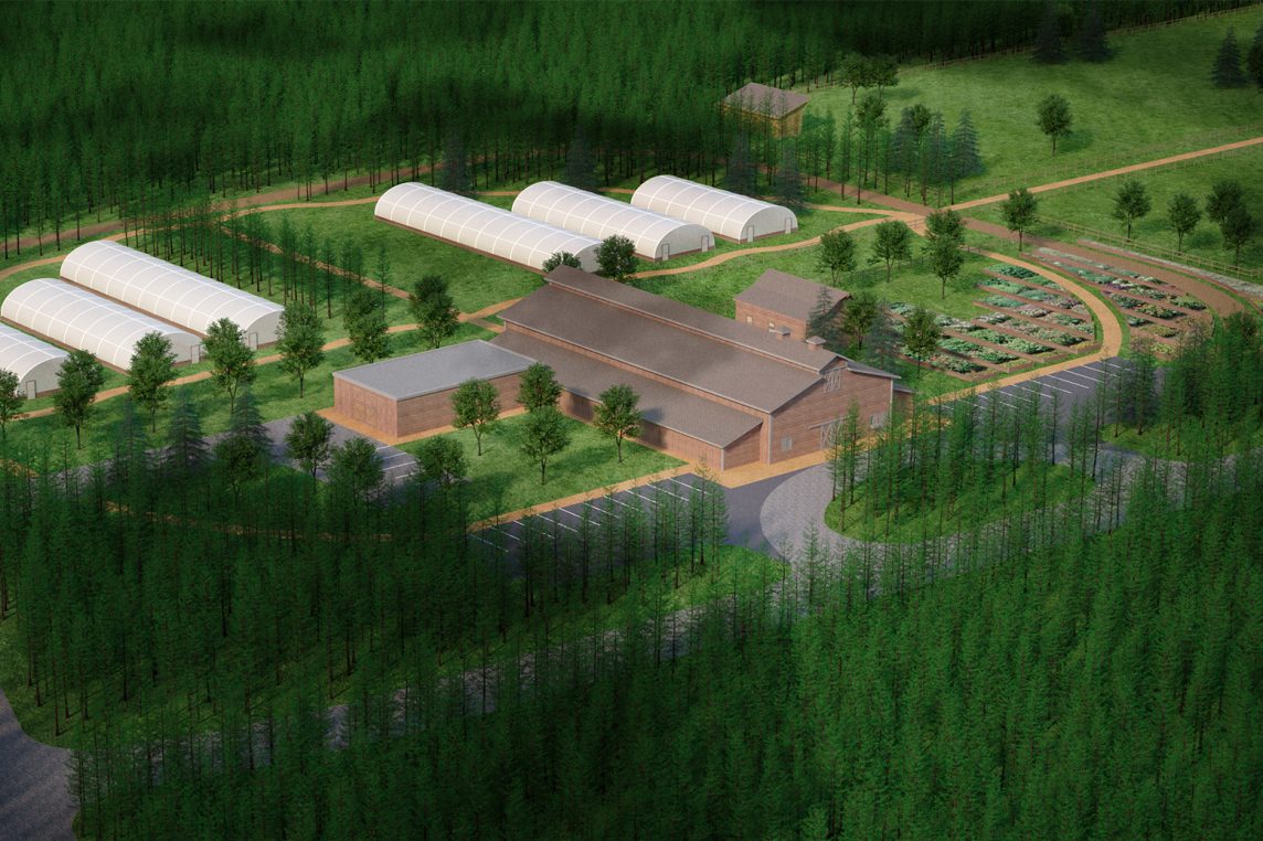 Plan d'affaires de ferme d’insectes au Yukon – Groupe BC2